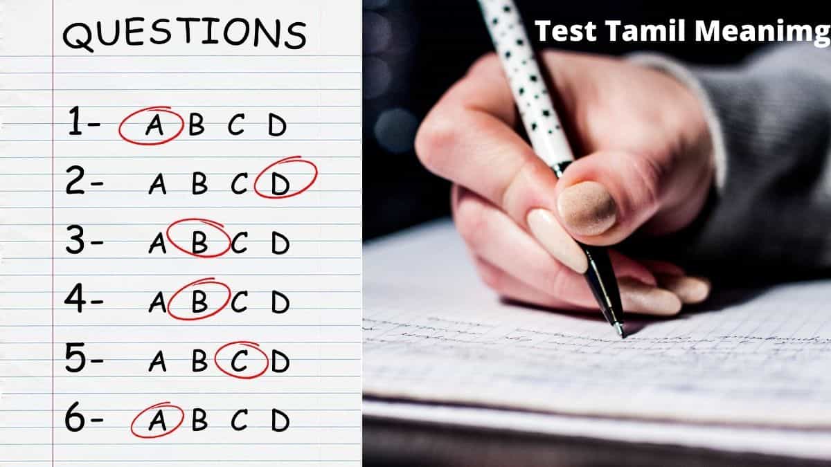 Test Meaning 