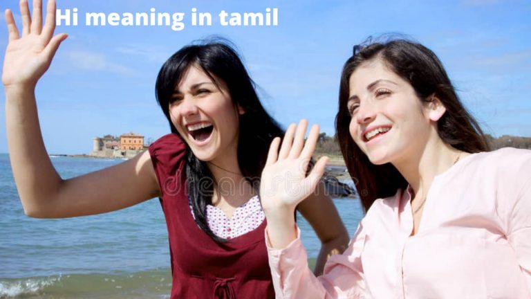 Hi Meaning TAMIL Meaning Dictionary hi-meaning-tamil-meaning-dictionary