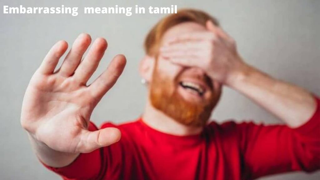 Embarrassing Meaning 