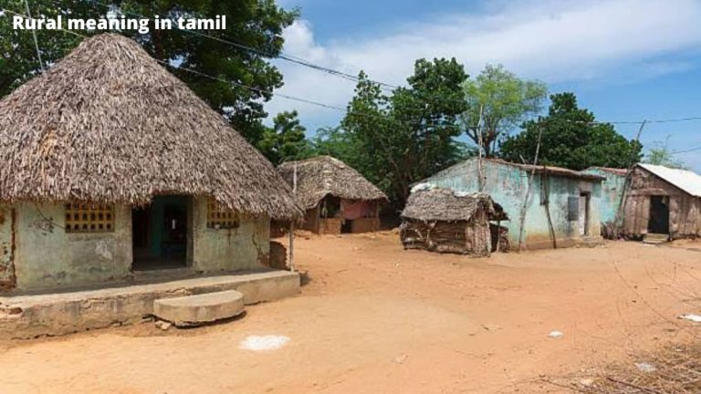 Rural Meaning • கிராமப்புற விளக்கங்கள்..!